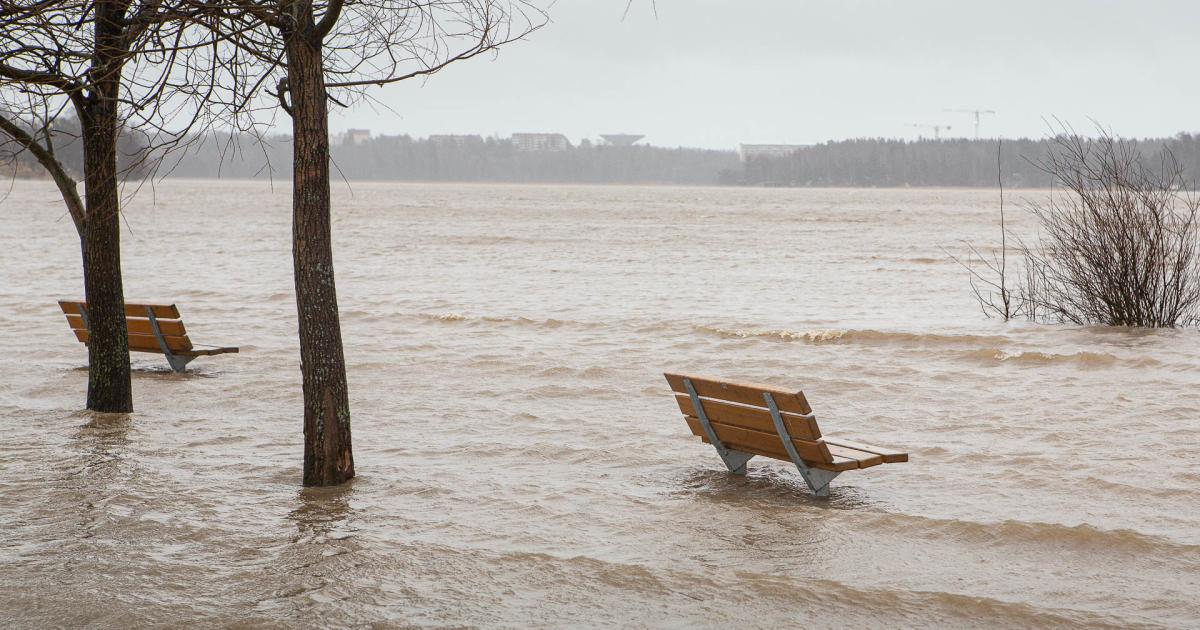 Climate change is already visible in Finland's nature