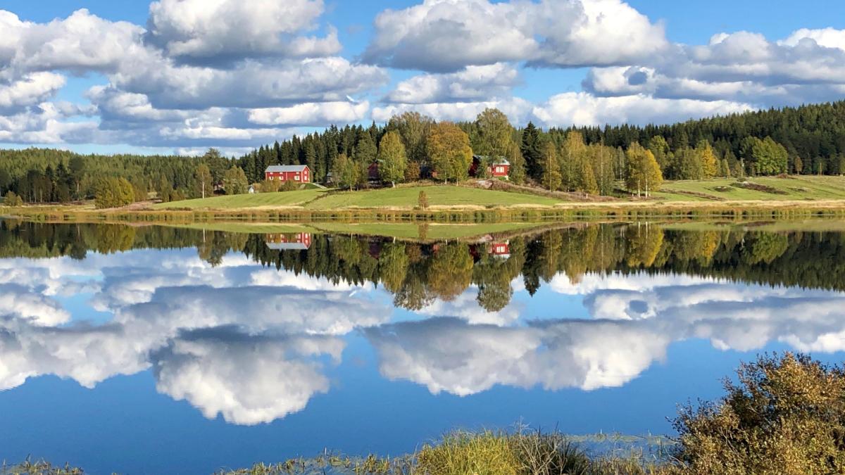 finnish landscape